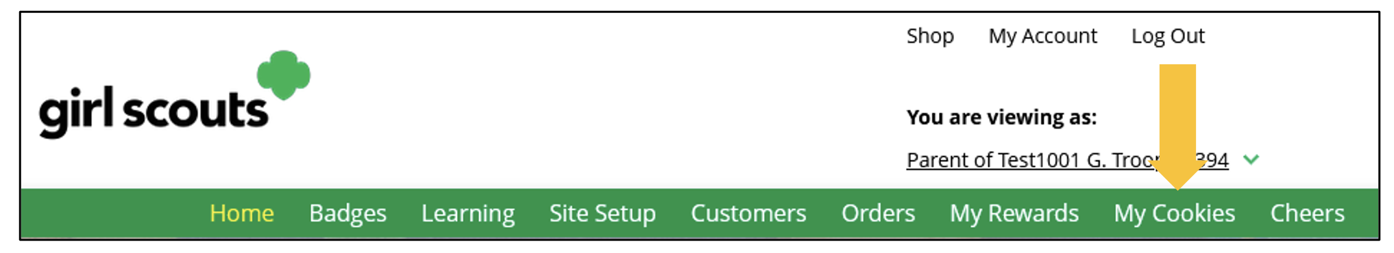 For Cookie Sellers | Girl Scouts